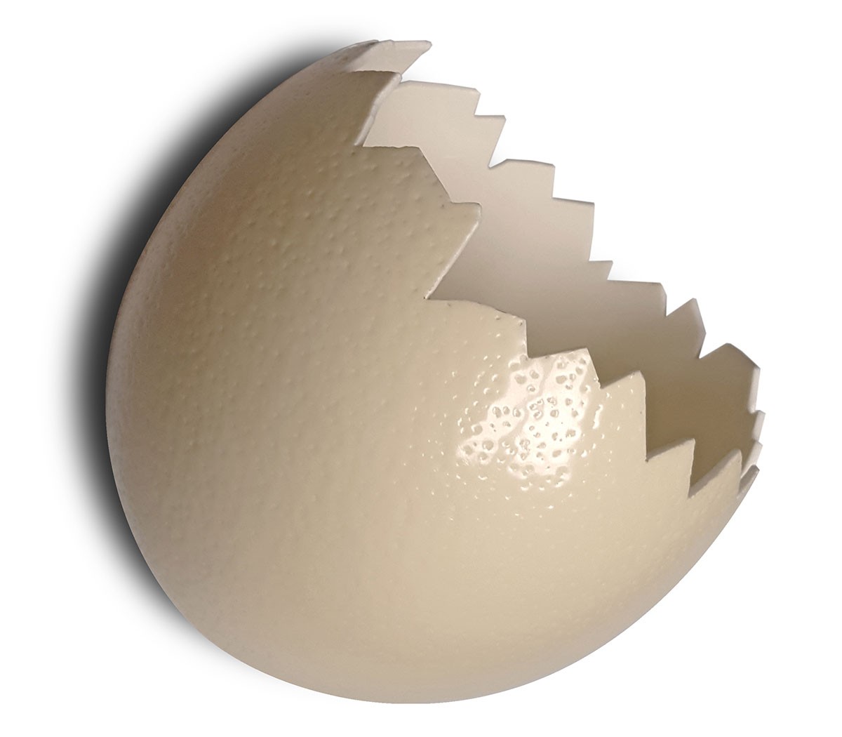 An original designer pendant light in an ostrich-shelled egg